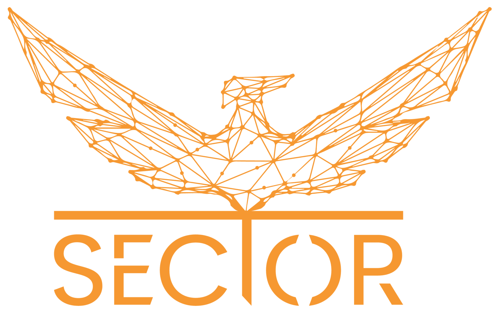 Solutions | Sector Technology Group